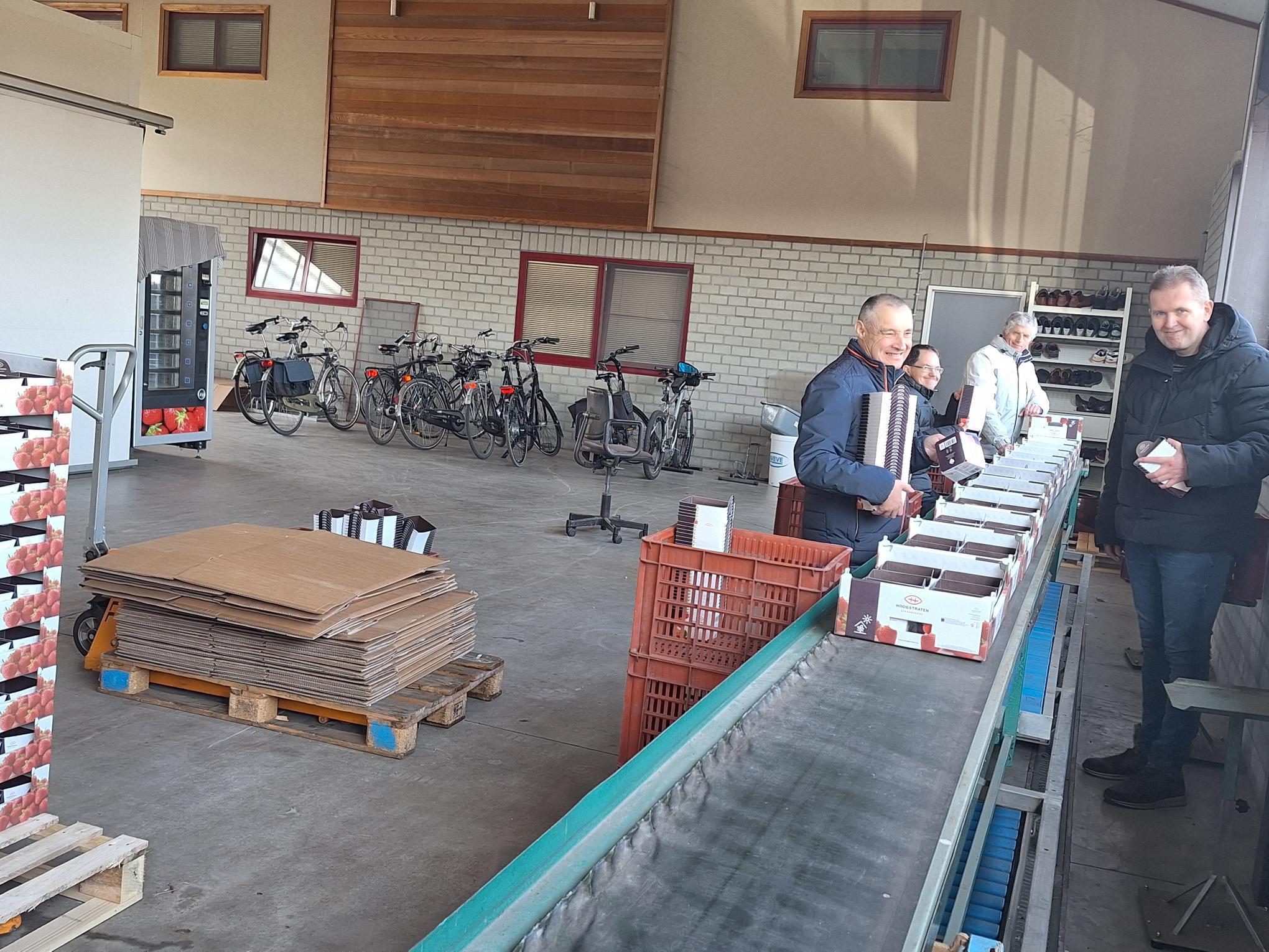 Terug aan het werk bij de aardbeienboer | mekanders