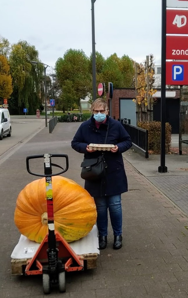 Delhaize Arendonk schenkt reuze-pompoen | mekanders